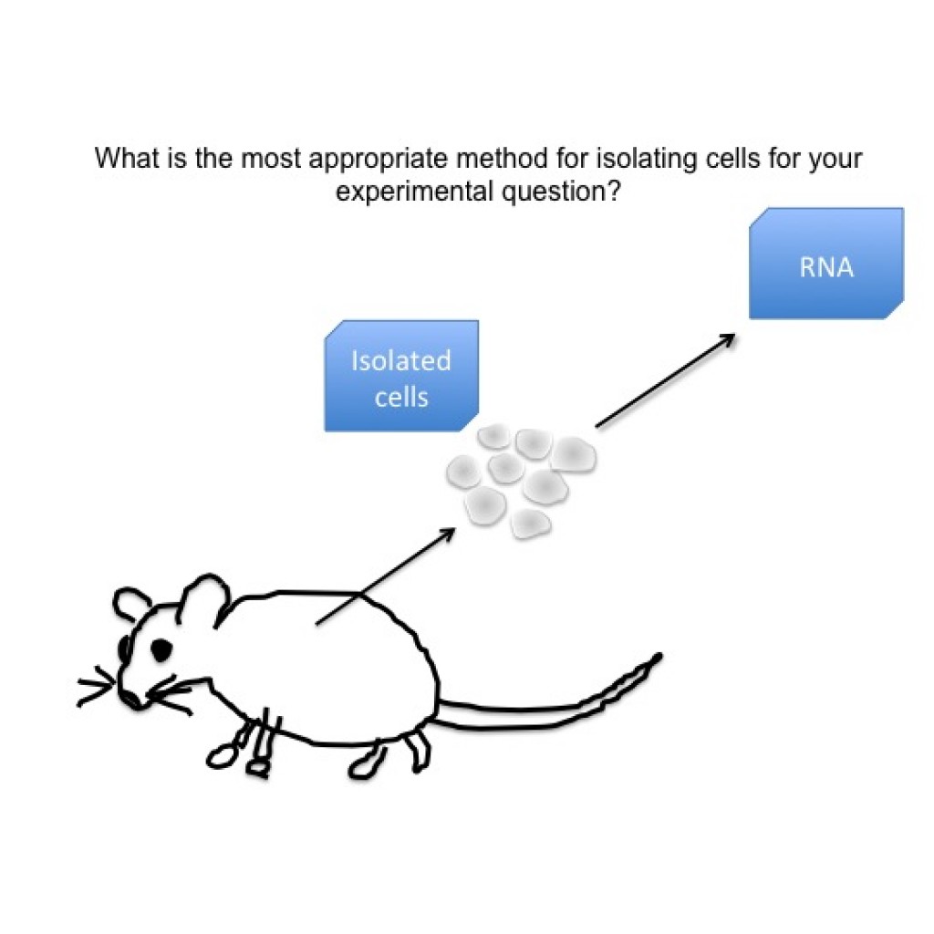 6 Changes That’ll Make a Big Difference With Your RNA-seq; Part 1 ...