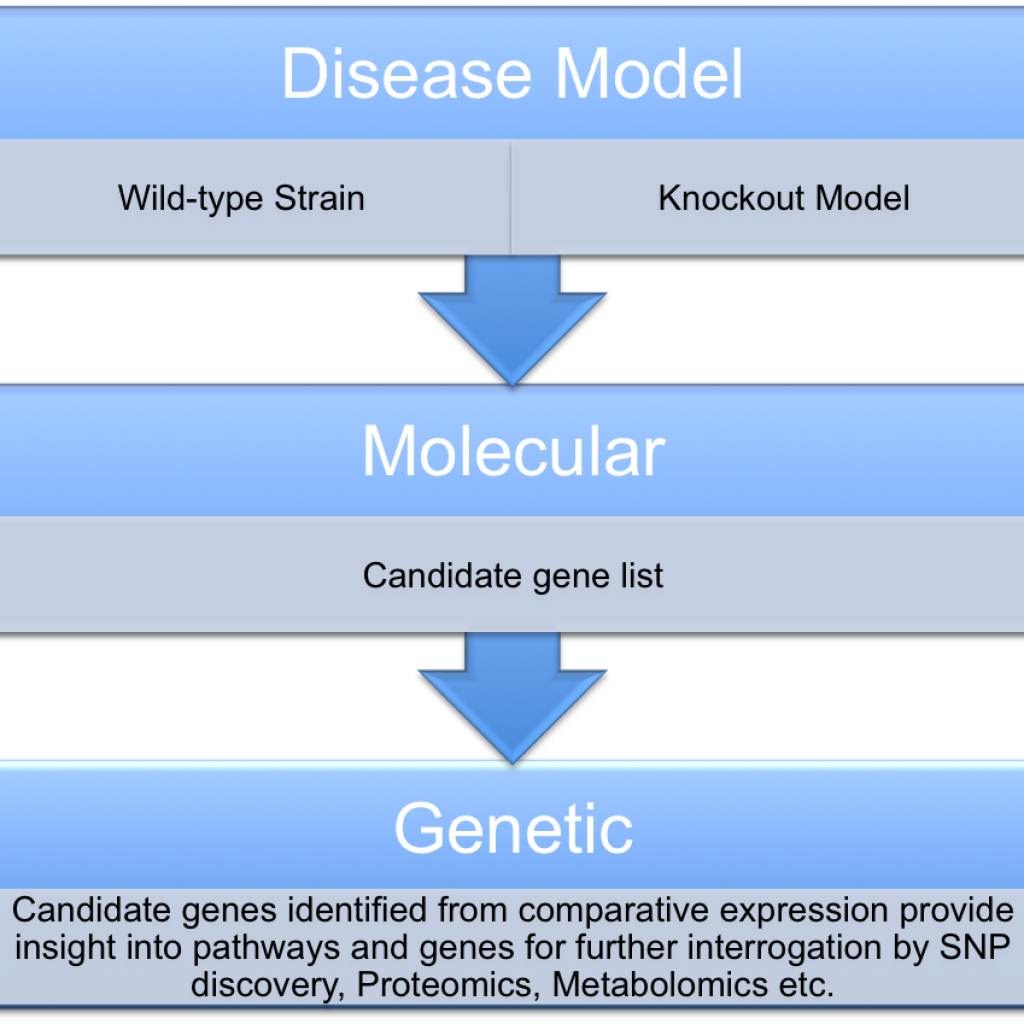 Can RNA-seq help with your knockout blues? – Cofactor Genomics