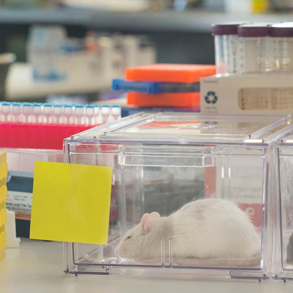 RNA-seq-page – Cofactor Genomics