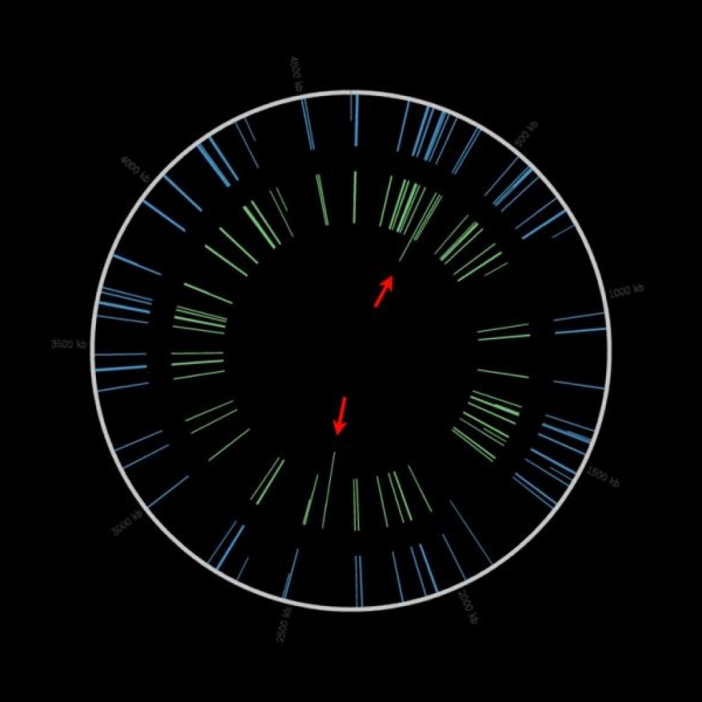 circle image – Cofactor Genomics