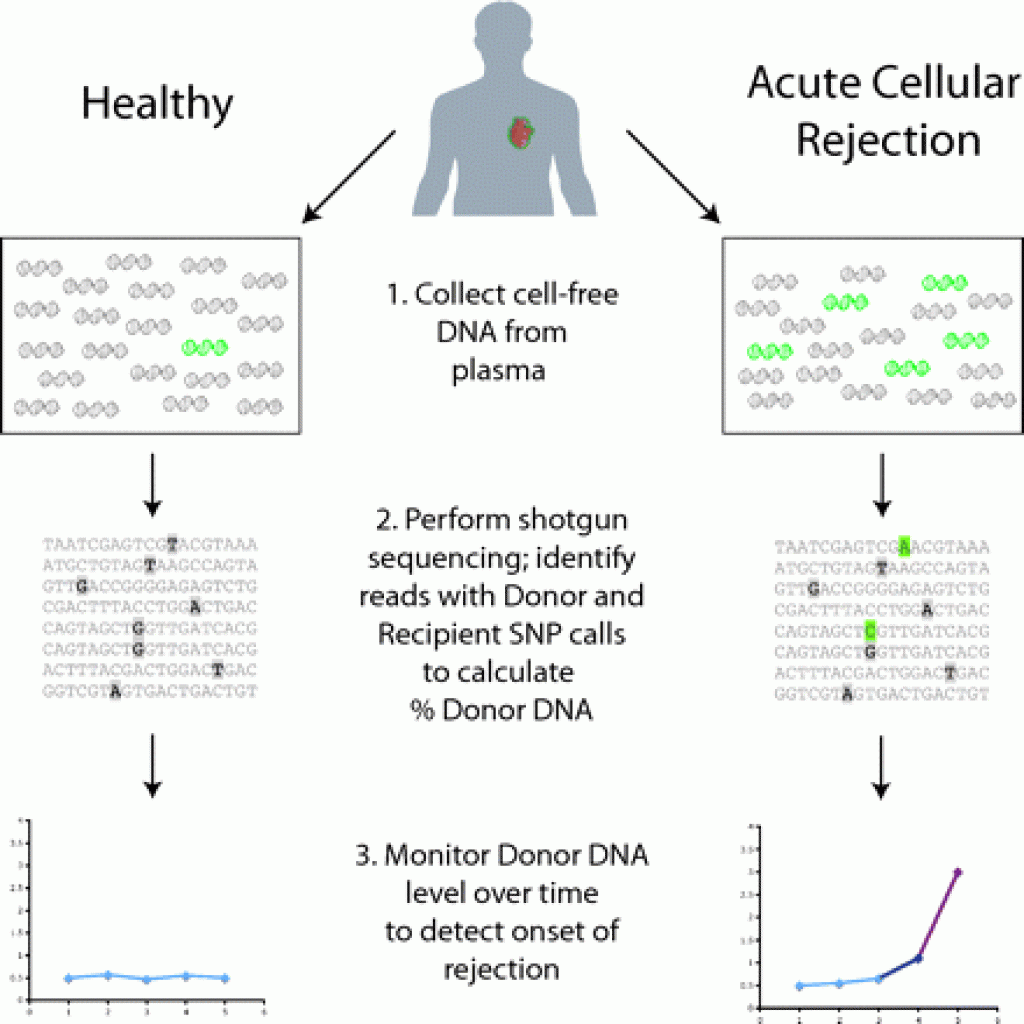 Advanced Applications: Organ transplant monitoring using Next-gen sequencing – Cofactor Genomics
