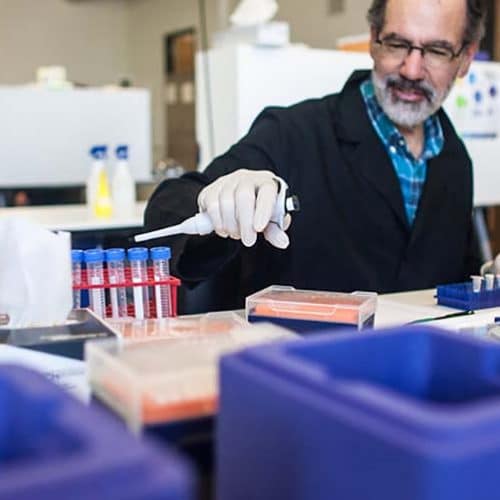 Cofactor Genomics to Present on Predictive Immune Modeling at 2019 ...