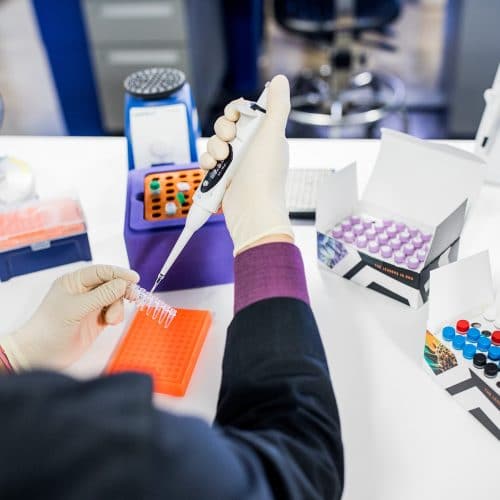 Molecular Subtyping and Cancer – Cofactor Genomics