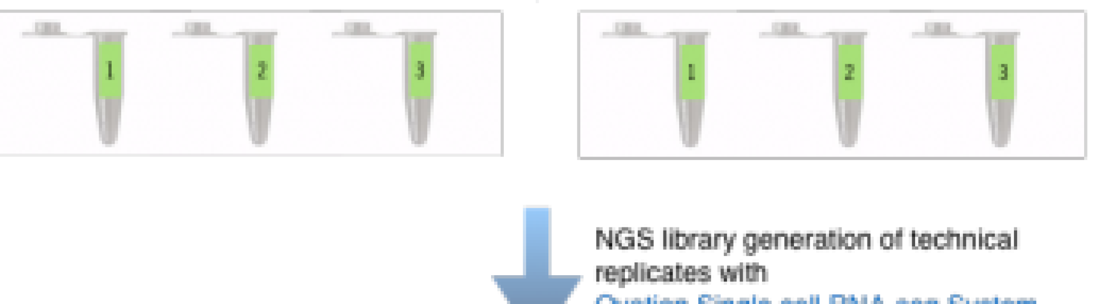 Molecular Workflow – Cofactor Genomics