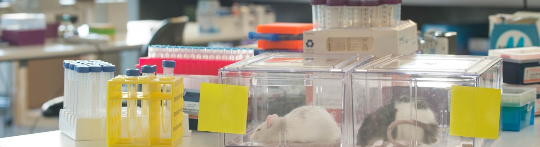 RNA-seq-page – Cofactor Genomics